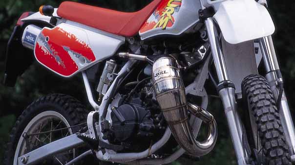 PRO SKILL PARTS 排氣管 (PS300922)| Webike摩托百貨