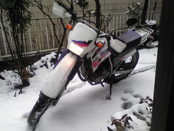 HONDA XLディグリー IRC:アイアールシー PROTECH TRAIL WINNER GP-210 【2.75-21 45P WT ...